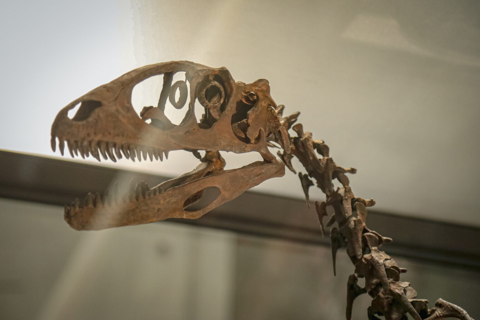 Yale Peabody Museum - Unlocking Connecticut
